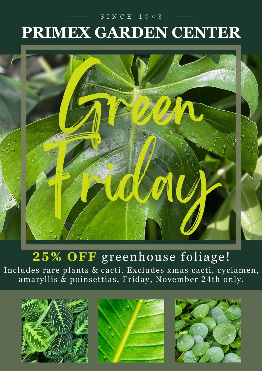 Green Friday: 25% Off Greenhouse Foliage!