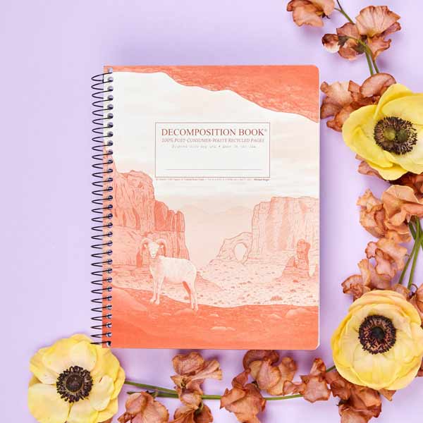 Your favorite eco-friendly notebooks are all 20% off MSRP!
